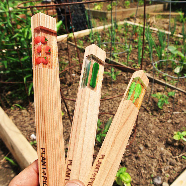 Contact Us - Plant Picket